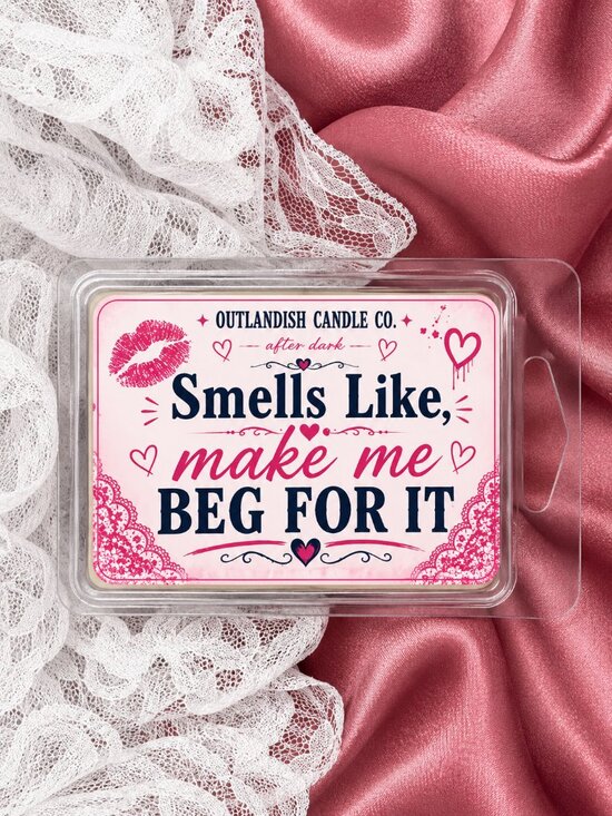 Handmade | Accents | 3 Packs Of Funny Wax Melts Make Me Beg For It ...